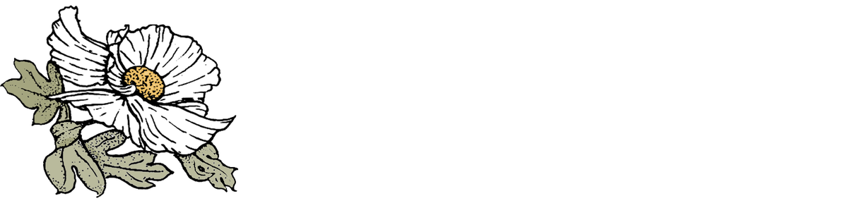 Asclepias eriocarpa (Kotolo Milkweed) | California Native Seeds from ...